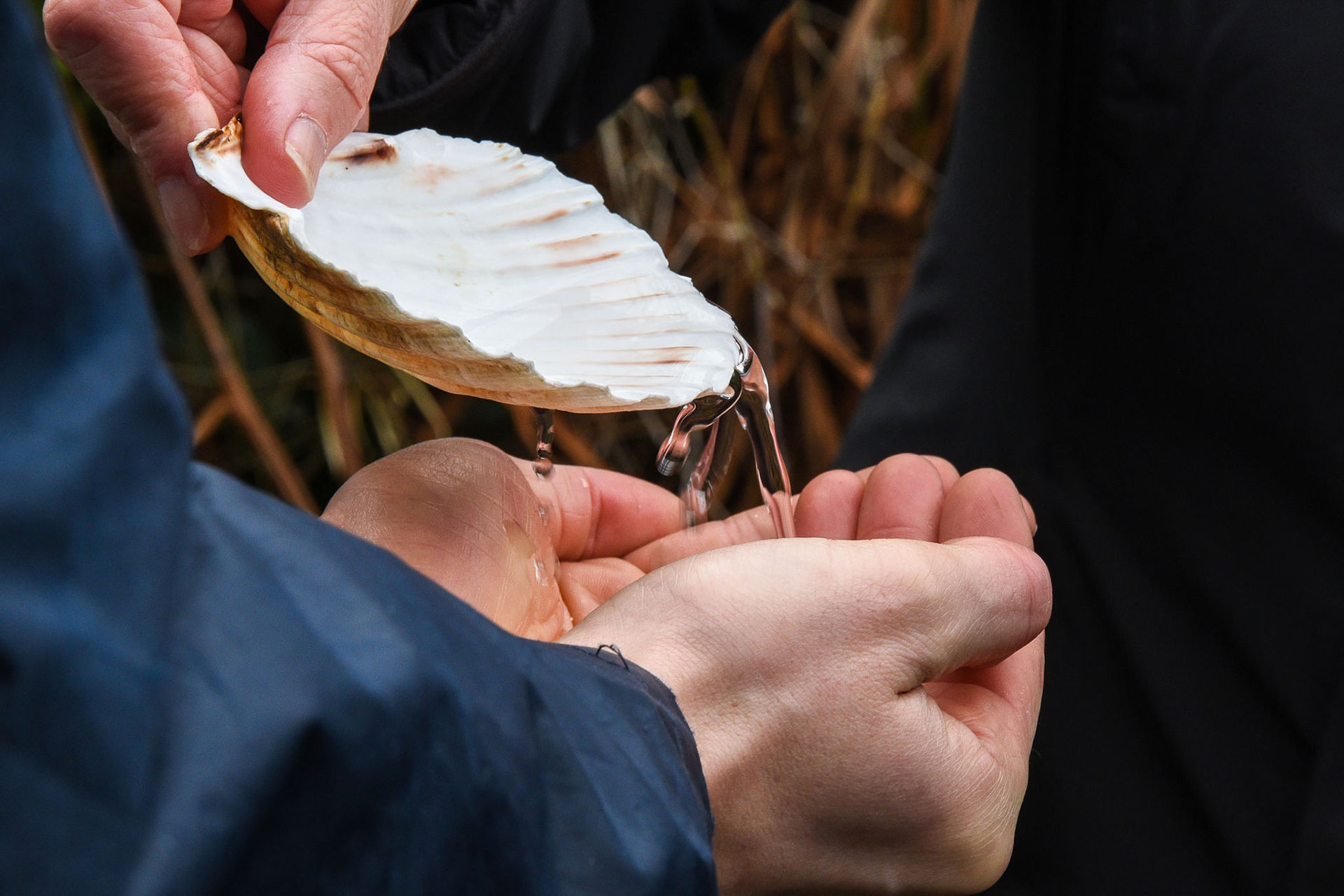 Celebrating St Aidan's Feast Day - Wexford-Pembrokeshire Pilgrim Way